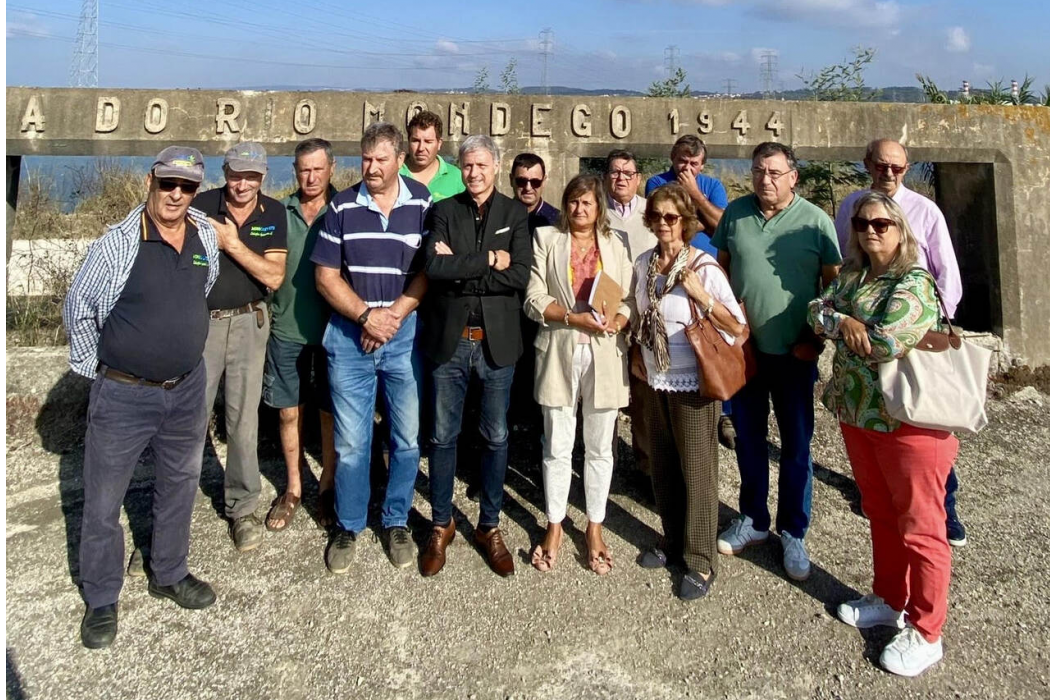 Deputados do PS visitam Comportas Maria da Mata no Alqueidão - Política ...